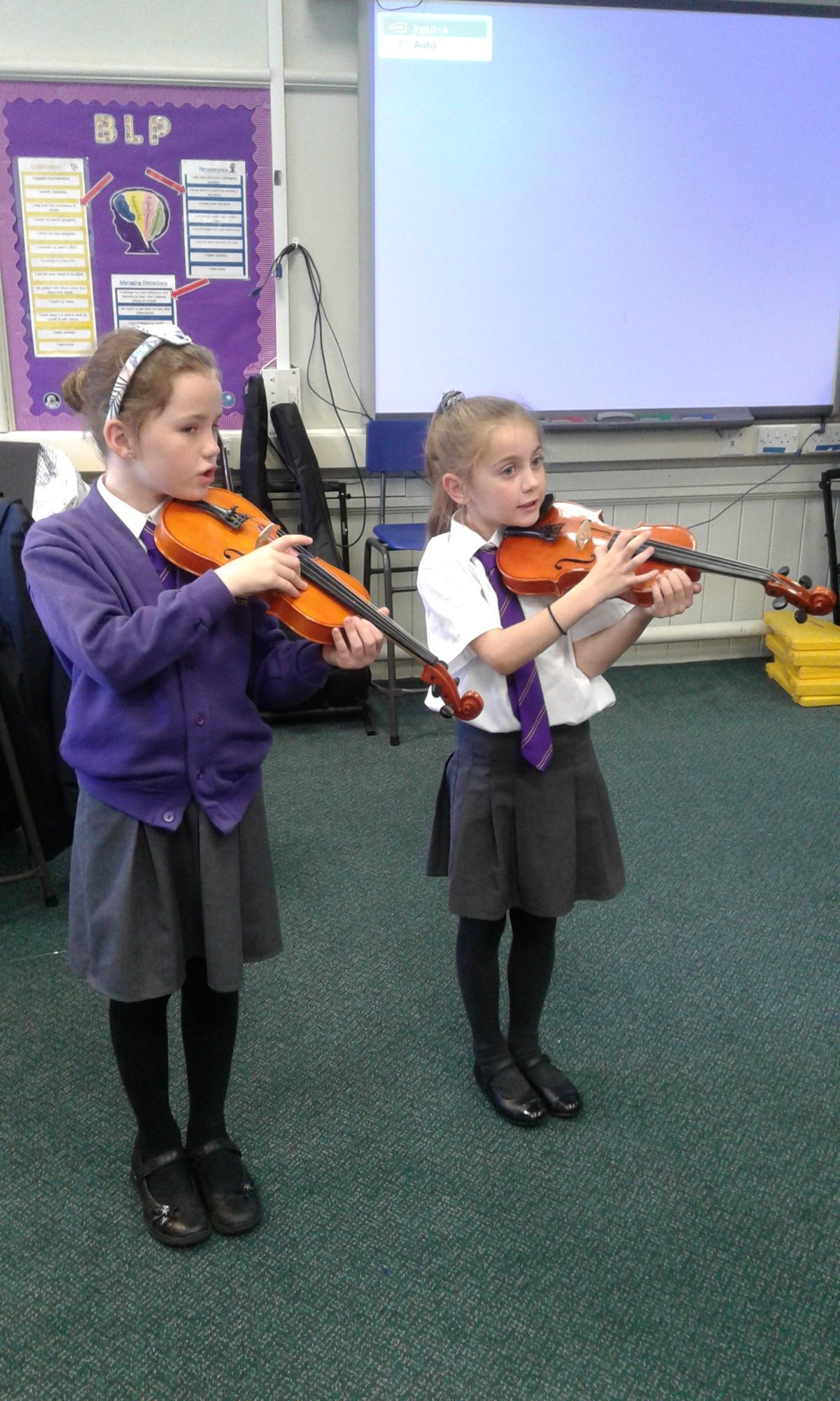 Viola Lessons | Wibsey Primary School